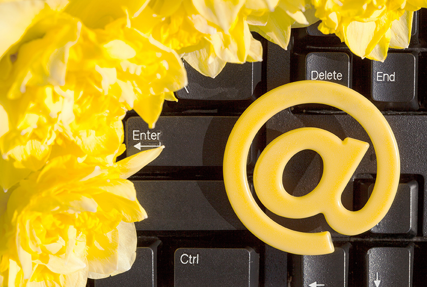 Introducing the Launch of Automated e-Cards! | IXACT Contact